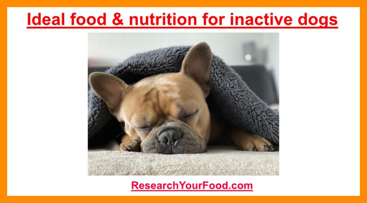 Ideal food & nutrition for inactive dogs | Research Your Food