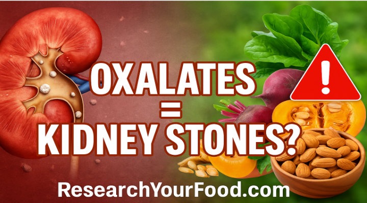 Kidney Stones and Oxalates in Food – What You Need to Know | Research ...
